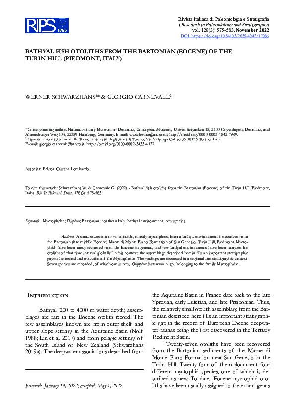 (PDF) Bathyal Fish Otoliths from the Bartonian (Eocene) of the Turin ...