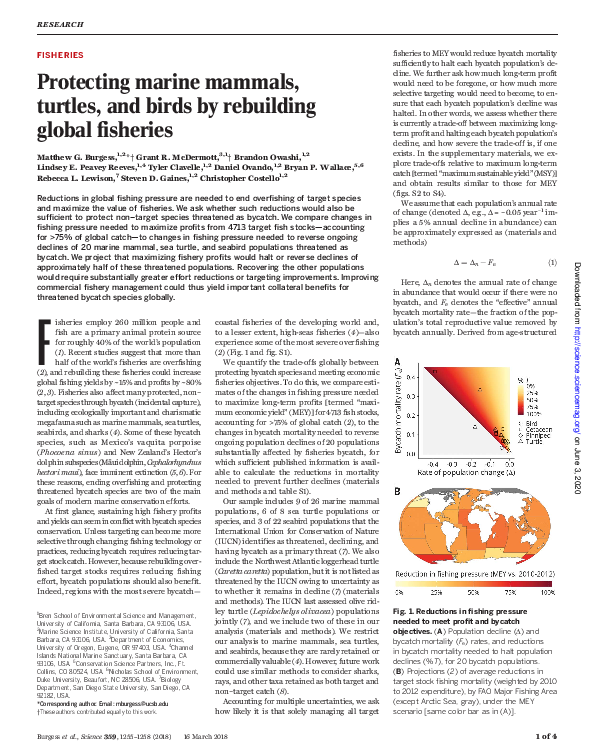 (PDF) Protecting marine mammals, turtles, and birds by rebuilding ...