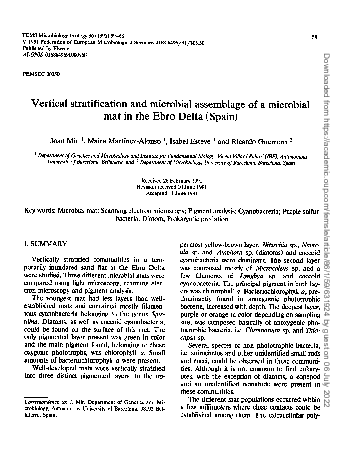 (PDF) Vertical stratification and microbial assemblage of a microbial ...