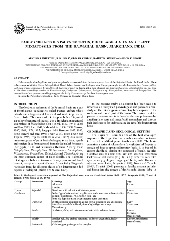(PDF) Early Cretaceous palynomorphs, dinoflagellates and plant ...
