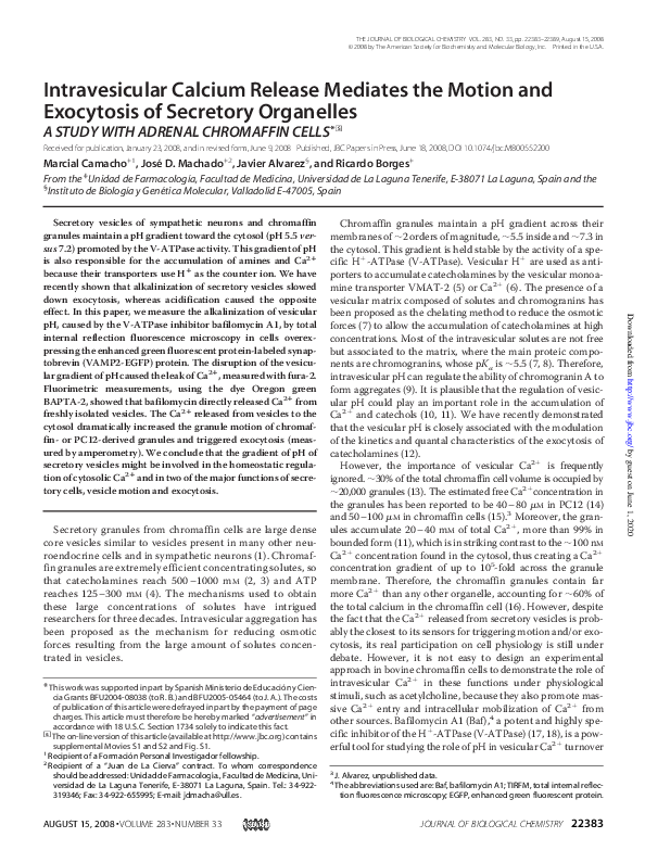 (PDF) Intravesicular Calcium Release Mediates the Motion and Exocytosis ...