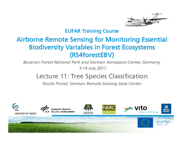 (PDF) Tree species classification