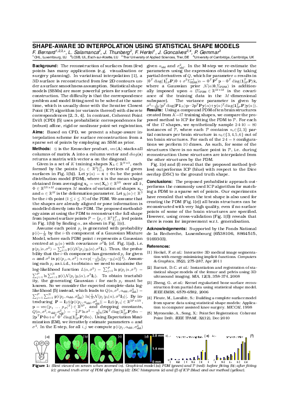 (PDF) Shape-aware 3D Interpolation using Statistical Shape Models | Peter Gemmar - Academia.edu