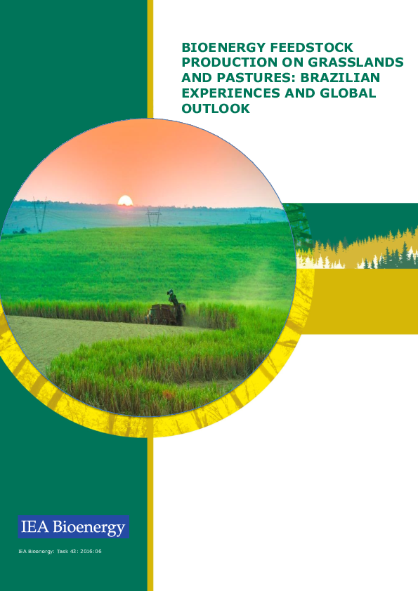 (PDF) Bioenergy feedstock production on grasslands and pastures ...