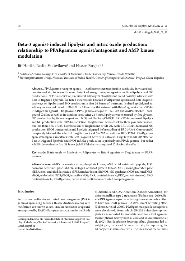Beta-3 agonist-induced lipolysis and nitric oxide production ...