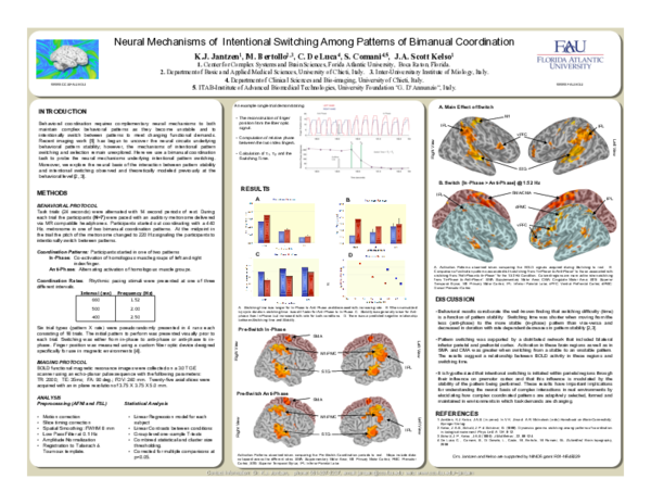(PDF) Neural Mechanisms of Intentional Switching Among Patterns of Bimanual Coordination