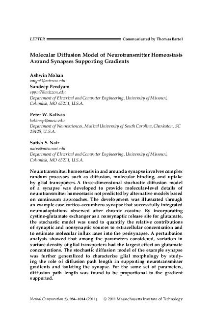 Molecular Diffusion Model of Neurotransmitter Homeostasis Around ...