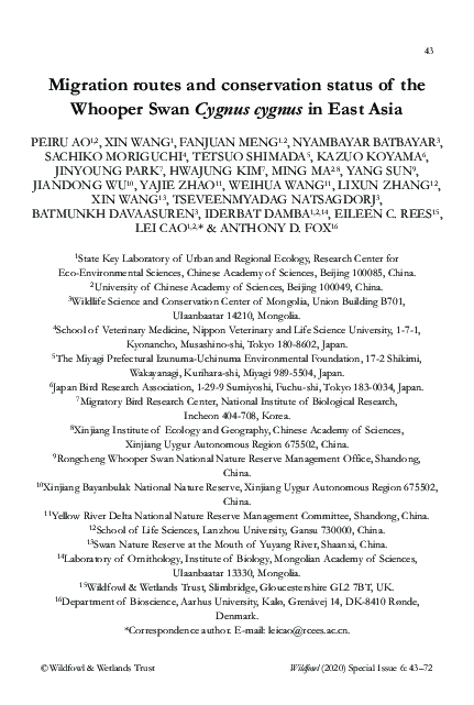 (PDF) Migration routes and conservation status of the Whooper Swan ...
