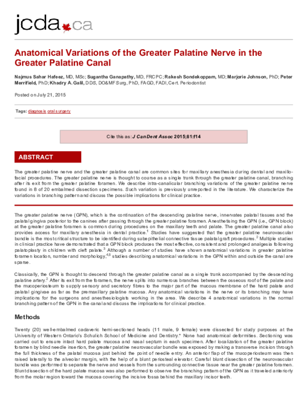 (PDF) Anatomical Variations of the Greater Palatine Nerve in the ...
