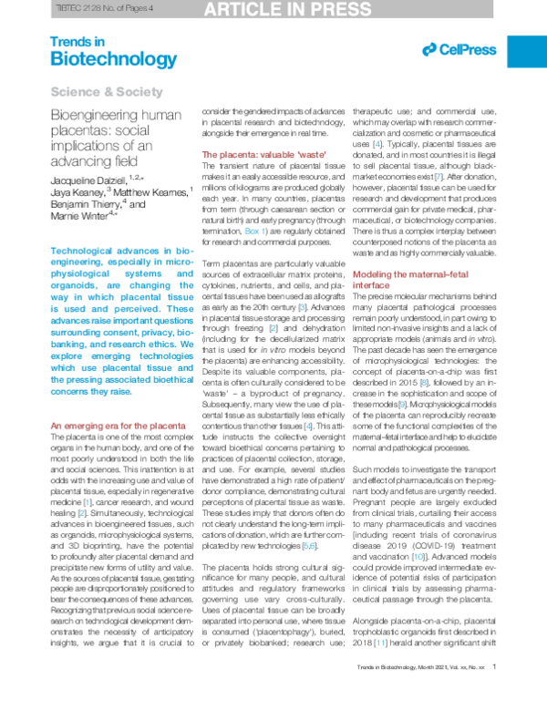 (PDF) Bioengineering human placentas: social implications of an ...