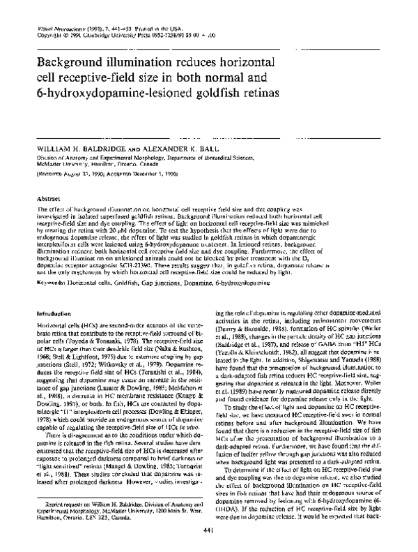 (PDF) Background illumination reduces horizontal cell receptive-field ...