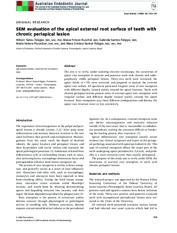 (PDF) SEM evaluation of the apical external root surface of teeth with ...