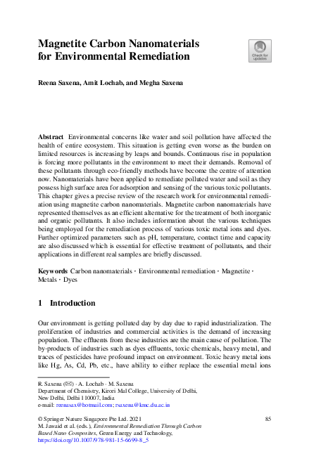 (PDF) Magnetite Carbon Nanomaterials for Environmental Remediation