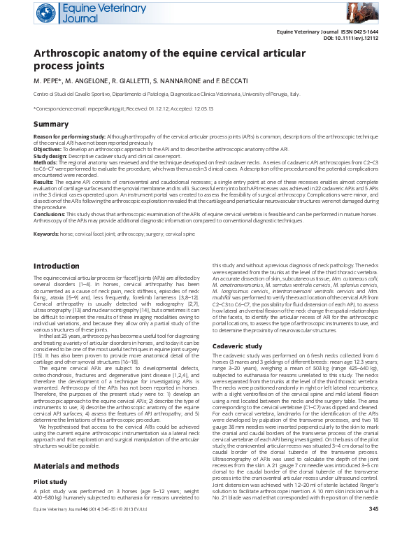 (PDF) Arthroscopic anatomy of the equine cervical articular process joints