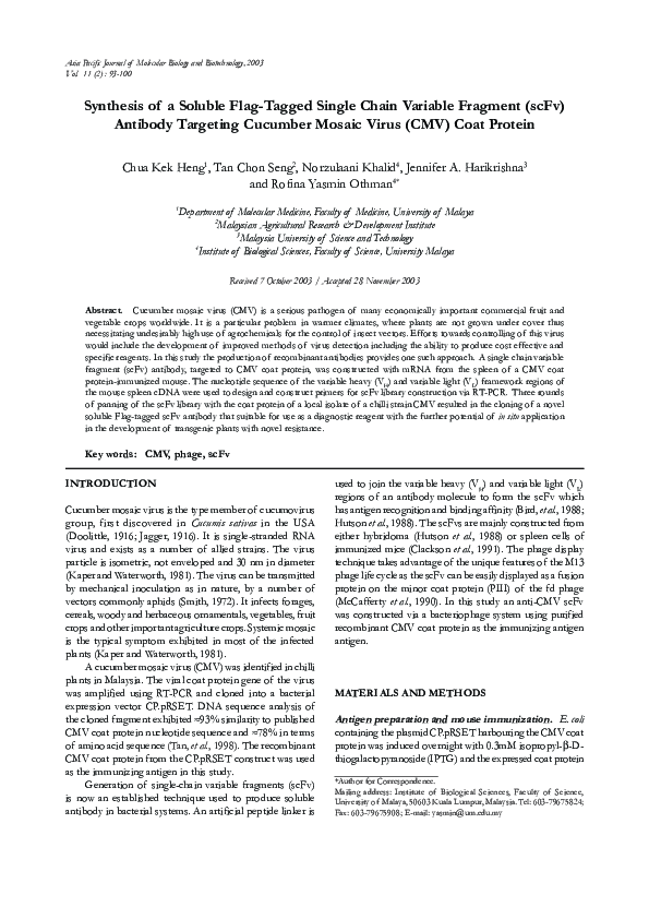 (PDF) Synthesis of a soluble flag-tagged single chain variable fragment (scFv) antibody ...