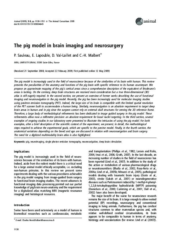 (PDF) The pig model in brain imaging and neurosurgery