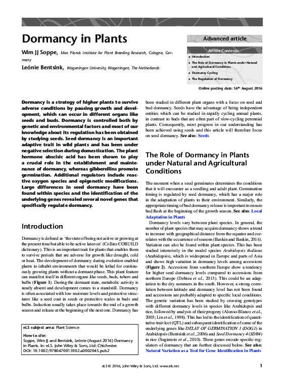 (PDF) Dormancy in Plants