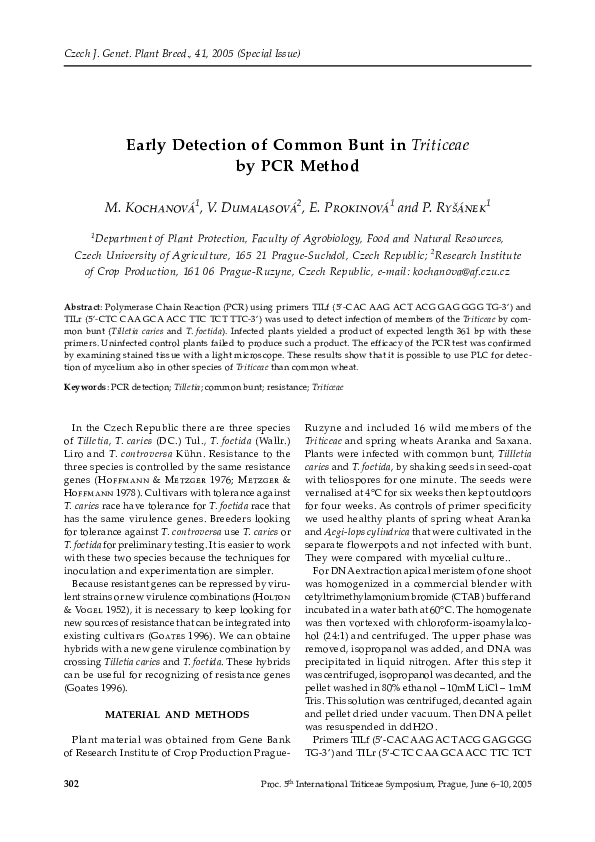 (PDF) Early detection of common bunt in Triticeae by PCR method