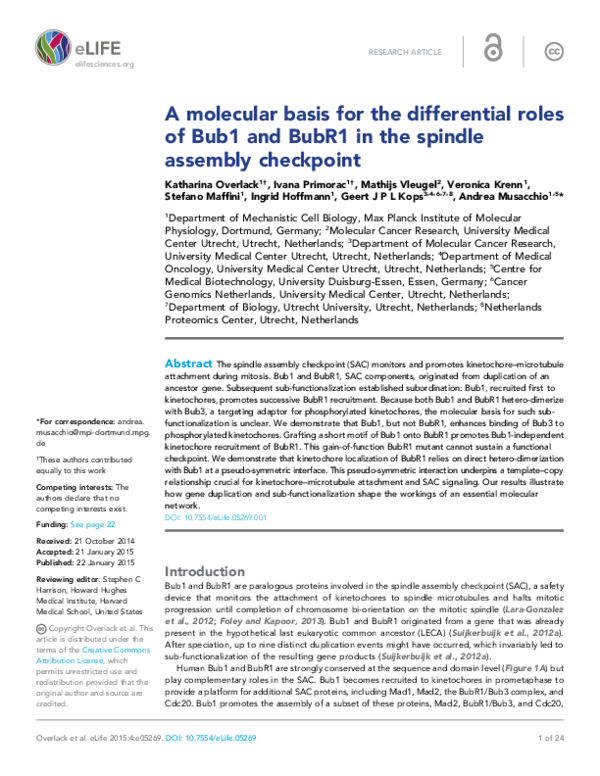 (PDF) A molecular basis for the differential roles of Bub1 and BubR1 in ...
