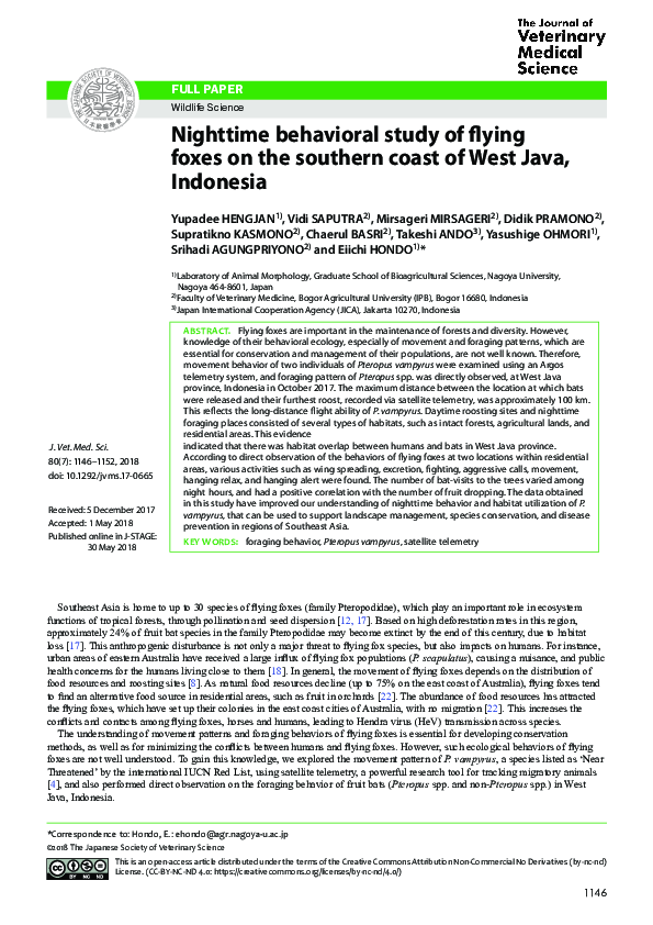 (PDF) Nighttime behavioral study of flying foxes on the southern coast ...