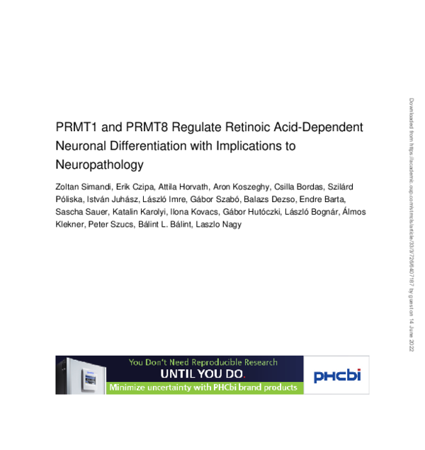 (PDF) PRMT1 and PRMT8 Regulate Retinoic Acid-Dependent Neuronal ...