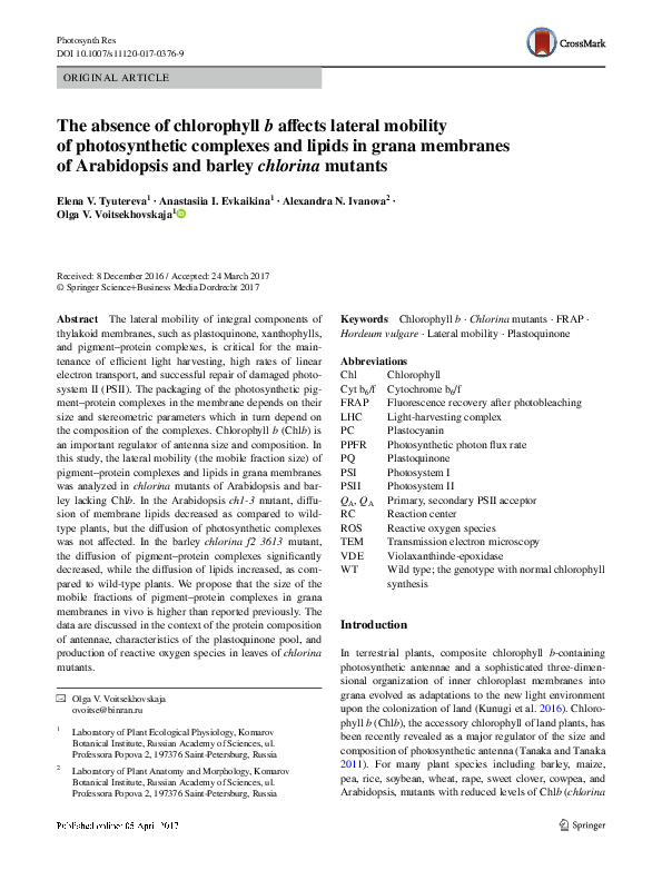 (PDF) The absence of chlorophyll b affects lateral mobility of ...