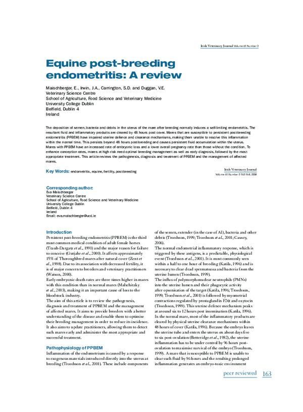 (PDF) Equine post-breeding endometritis: A review