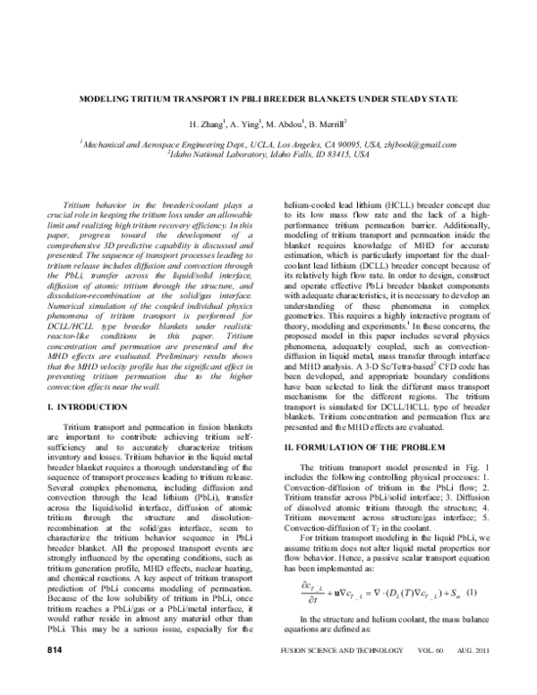 (PDF) Modeling Tritium Transport in PbLi Breeder Blankets under Steady State