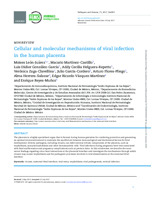 (PDF) Cellular and molecular mechanisms of viral infection in the human ...