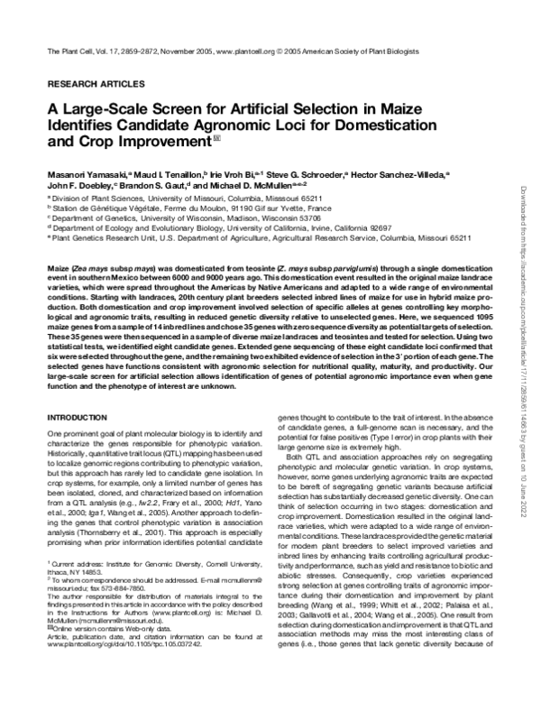 (PDF) A Large-Scale Screen for Artificial Selection in Maize Identifies ...