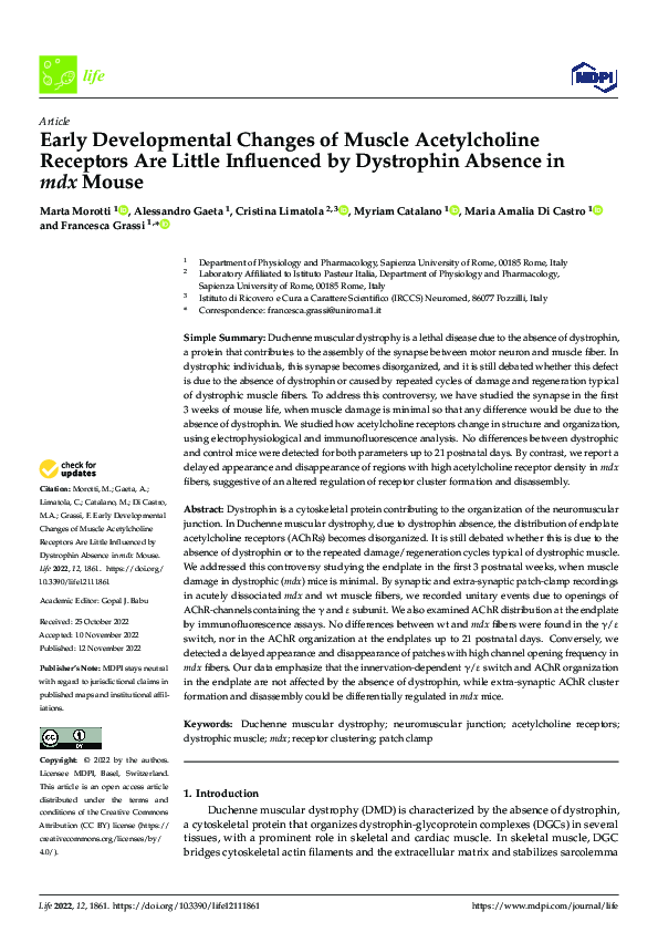 (PDF) Early Developmental Changes of Muscle Acetylcholine Receptors Are ...