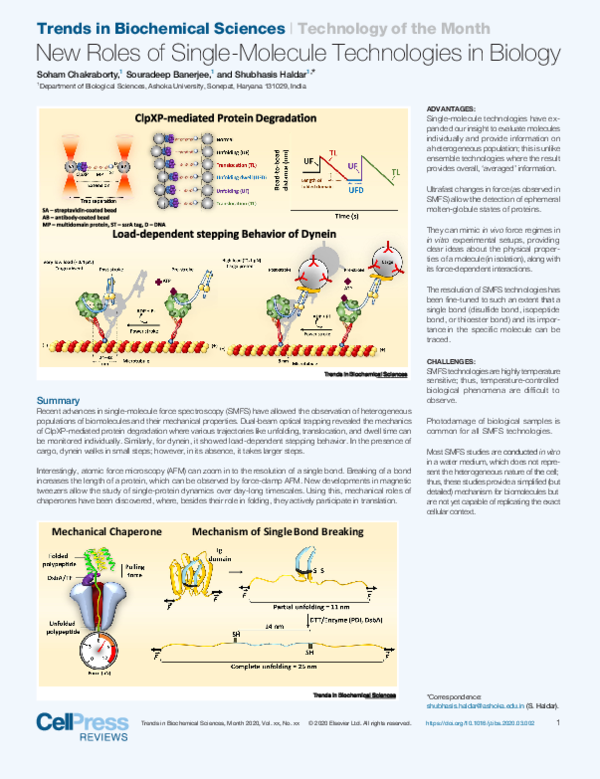 (PDF) New Roles of Single-Molecule Technologies in Biology
