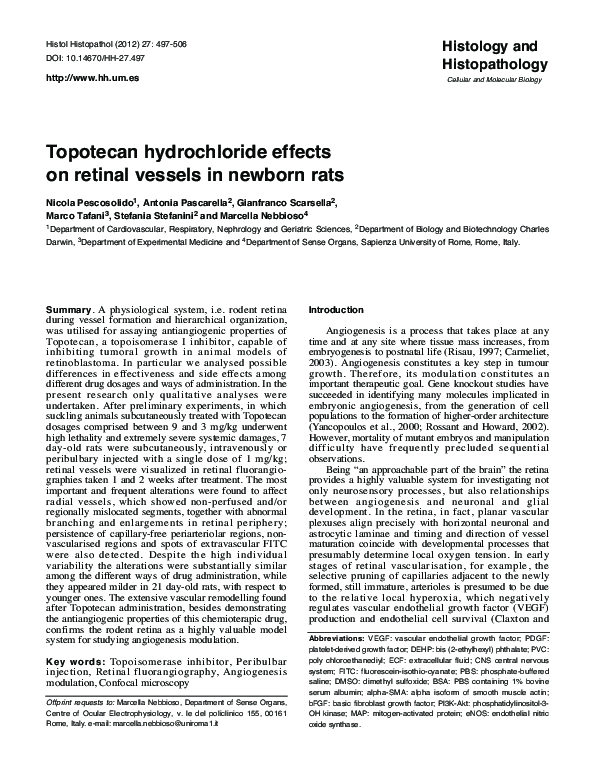 (PDF) Topotecan hydrochloride effects on retinal vessels in newborn rats