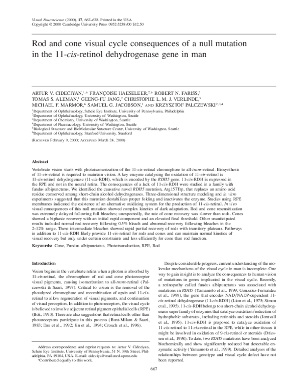 (PDF) Rod and cone visual cycle consequences of a null mutation in the ...