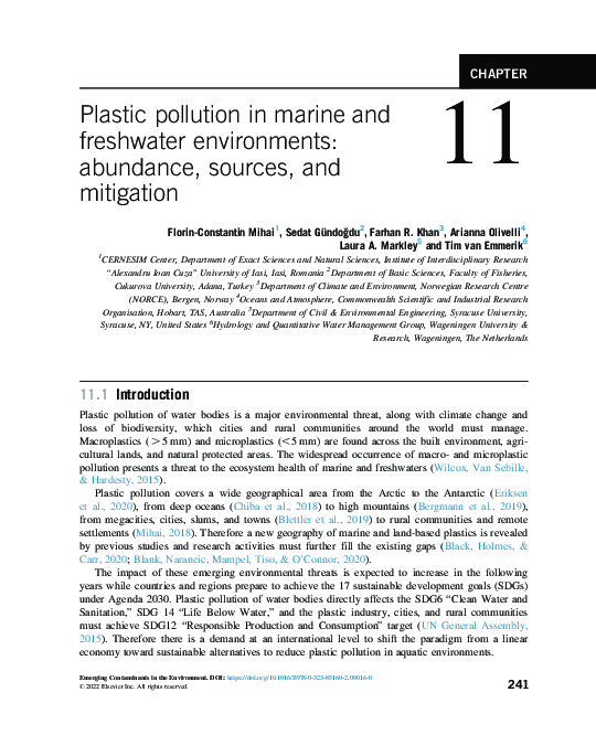 (PDF) Plastic pollution in marine and freshwater environments: abundance, sources, and mitigation