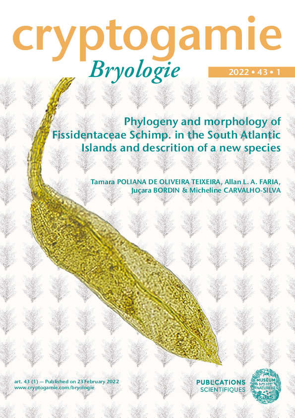 (PDF) Phylogeny and Morphology Of Fissidentaceae Schimp. in the South ...