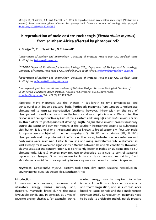 (PDF) Is reproduction of male eastern rock sengis ( Elephantulus myurus ...