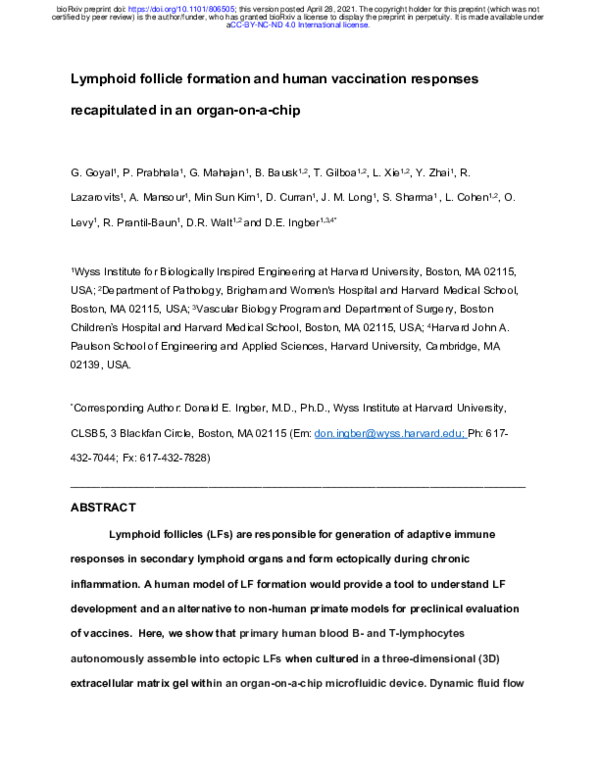 (PDF) Lymphoid follicle formation and human vaccination responses ...