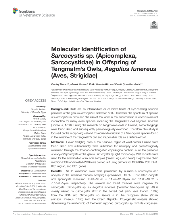 (PDF) Molecular Identification of Sarcocystis sp. (Apicomplexa ...