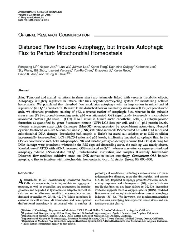 (PDF) Disturbed Flow Induces Autophagy, but Impairs Autophagic Flux to ...