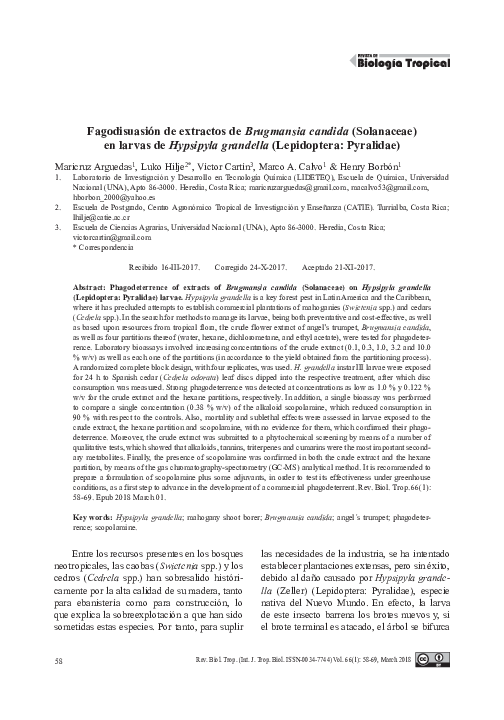 (PDF) Phagodeterrence of extracts of Brugmansia candida (Solanaceae) on ...