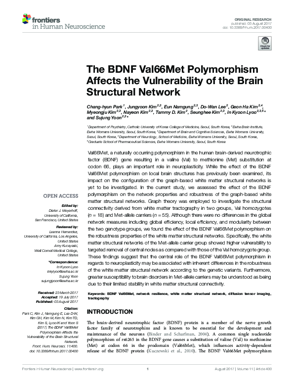 (PDF) The BDNF Val66Met Polymorphism Affects the Vulnerability of the ...