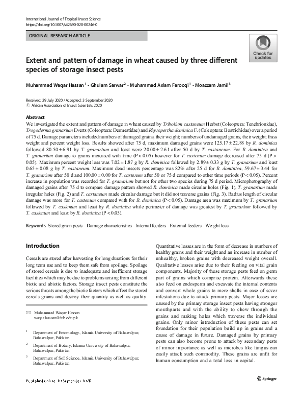 (PDF) Extent and pattern of damage in wheat caused by three different ...