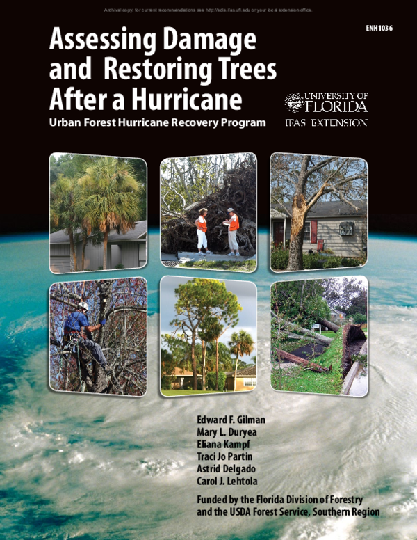 (PDF) Assessing Damage and Restoring Trees After a Hurricane