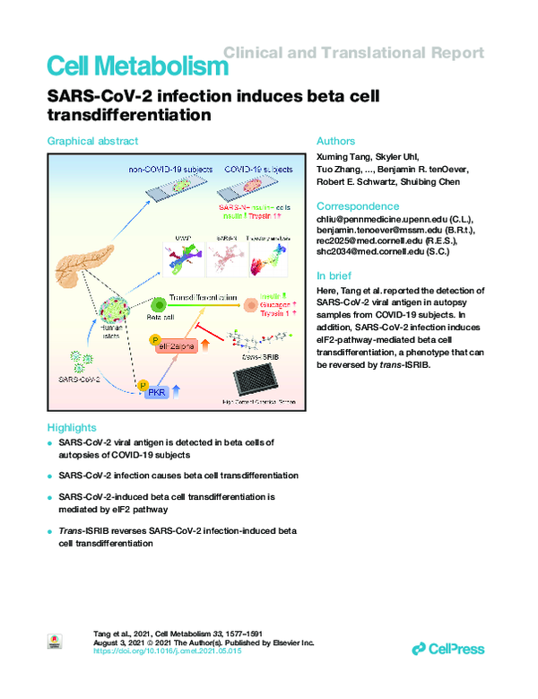 (PDF) SARS-CoV-2 infection induces beta cell transdifferentiation