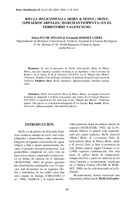 (PDF) Riella helicophylla (Bory & Mont) Mont (Sphaerocarpales ...