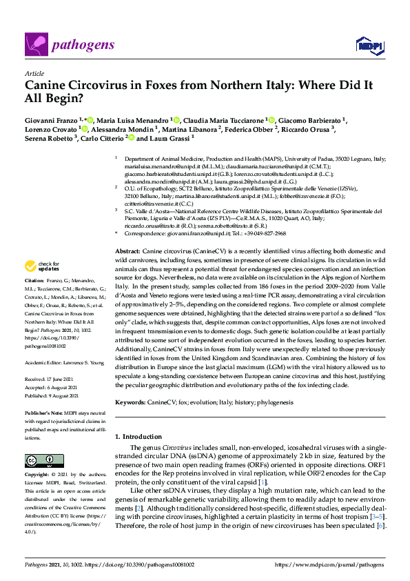 (PDF) Canine Circovirus in Foxes from Northern Italy: Where Did It All Begin?