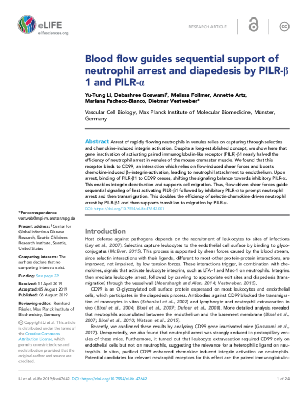 (PDF) Blood flow guides sequential support of neutrophil arrest and ...