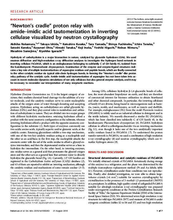 (PDF) “Newton’s cradle” proton relay with amide–imidic acid ...