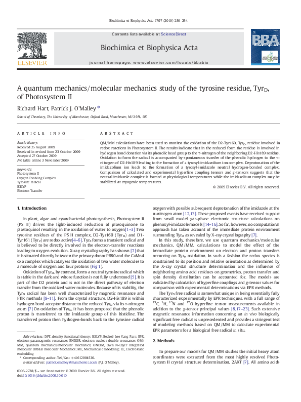 (PDF) A quantum mechanics/molecular mechanics study of the tyrosine ...